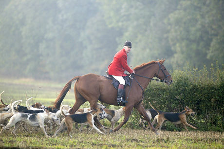 FOX HUNTING - THE BURTON HUNT, GLENWORTH, LINCOLNSHIRE, BRITAIN - 13 ...