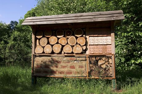 46 Bee boxes Stock Pictures, Editorial Images and Stock Photos ...