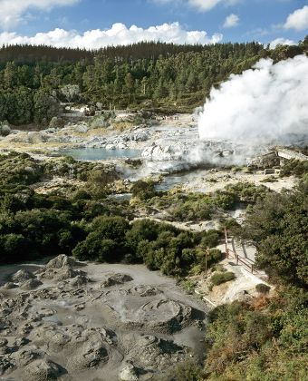 Pohutu Geyser Whakarewarewa Geothermal Area Rotorua Editorial Stock ...