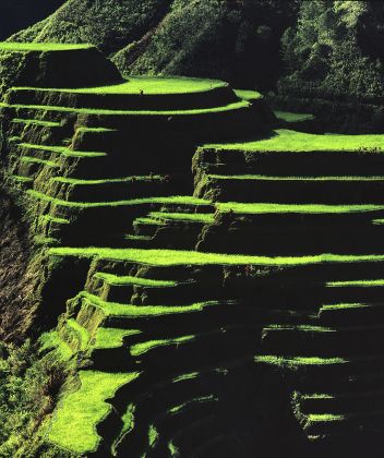 55 Filipino ifugao Stock Pictures, Editorial Images and Stock Photos ...