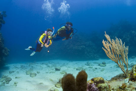 Model Released Mother Daughter Scuba Diving Editorial Stock Photo ...