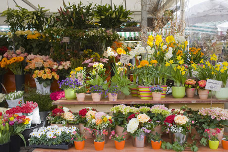 Flower Stall Viktualienmarkt Market Munich Bavaria Editorial Stock ...