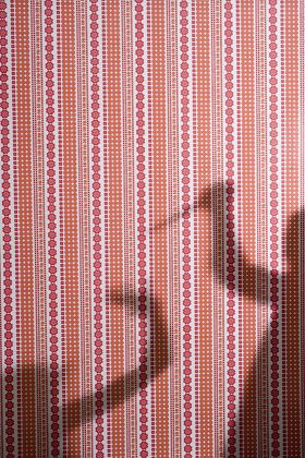 Shadow On Wallpaper Violent Scene Stabbing Editorial Stock Photo ...