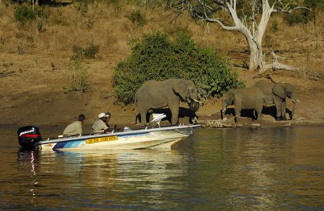 42 Safari boats Stock Pictures, Editorial Images and Stock Photos ...