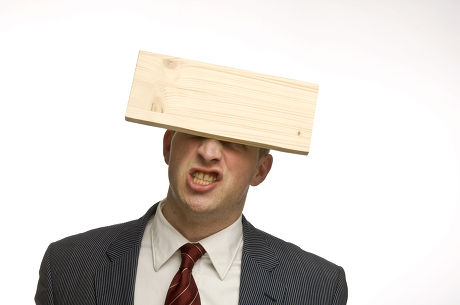 24 Blockhead Stock Pictures, Editorial Images and Stock Photos ...