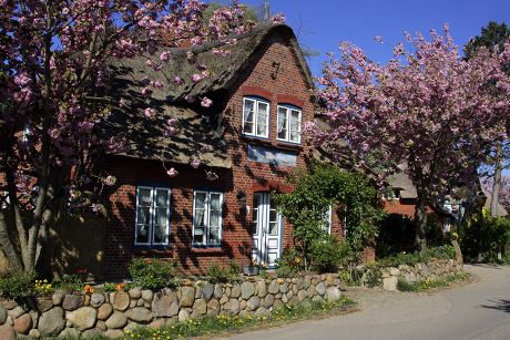42 Thatched wall Stock Pictures, Editorial Images and Stock Photos ...