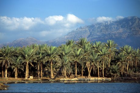 Hadibu Small Capital Built Next Islands Editorial Stock Photo - Stock ...