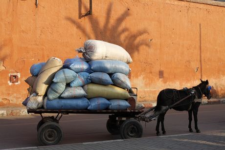 15 Mule carts Stock Pictures, Editorial Images and Stock Photos ...
