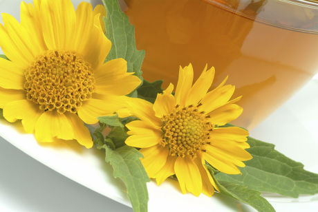 8 Anil tea Stock Pictures, Editorial Images and Stock Photos | Shutterstock