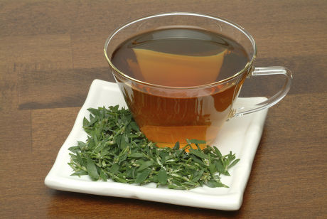 7 Knotgrass tea Stock Pictures, Editorial Images and Stock Photos ...