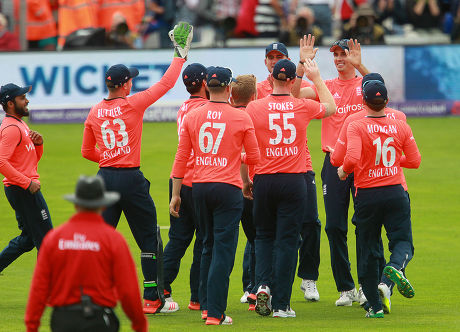 Steven Finn England Celebrates Team Mates Editorial Stock Photo - Stock ...