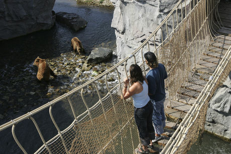 58 Spectators in a zoo Stock Pictures, Editorial Images and Stock ...