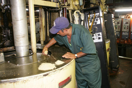 Worker Checking Sugar Production Demerara Sugar Editorial Stock Photo ...