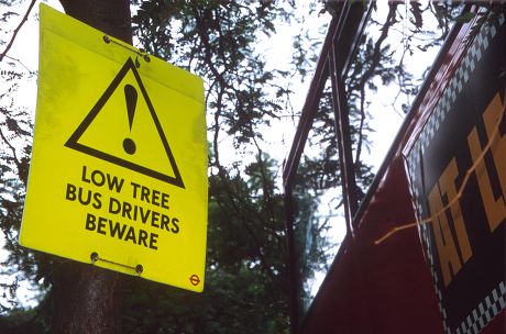 Low Tree Sign London Britain Editorial Stock Photo - Stock Image ...