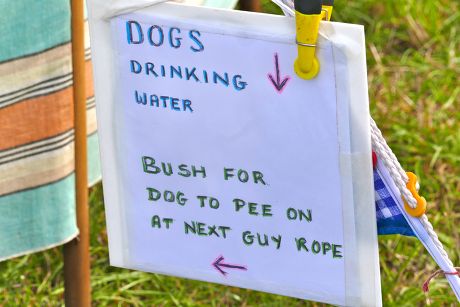 Funny Dog Water Sign Editorial Stock Photo - Stock Image | Shutterstock