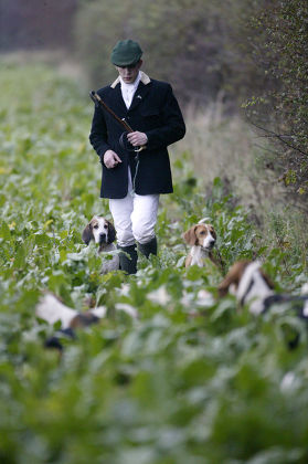 Hare Hunting Attracts Approximately 34500 Followers Editorial Stock ...