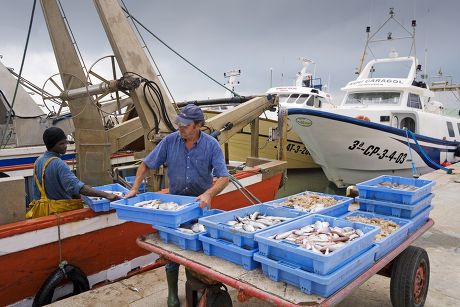 38 Loading fish Stock Pictures, Editorial Images and Stock Photos ...