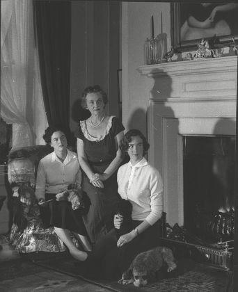 73 Elfrida Stock Pictures, Editorial Images and Stock Photos | Shutterstock