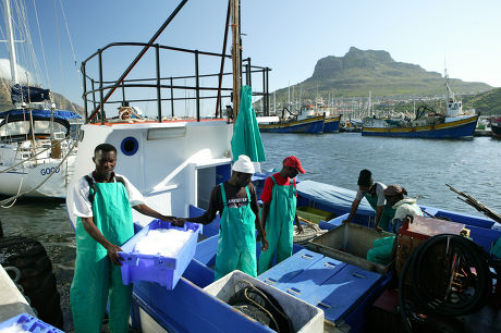 38 Loading fish Stock Pictures, Editorial Images and Stock Photos ...