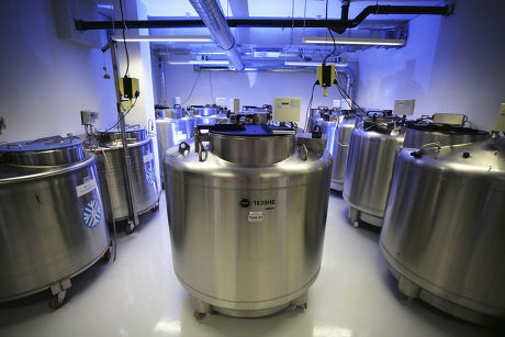 8 Blood storage room Stock Pictures, Editorial Images and Stock Photos ...