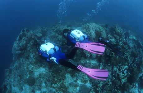 68 Diving system Stock Pictures, Editorial Images and Stock Photos ...