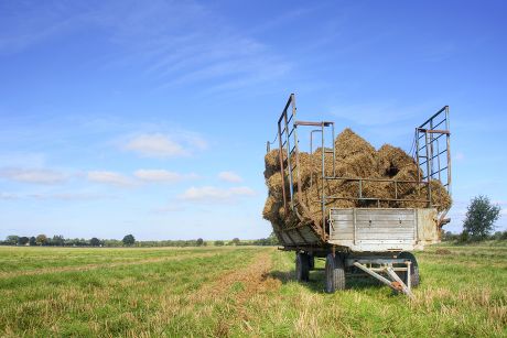 42 Hay carts Stock Pictures, Editorial Images and Stock Photos ...