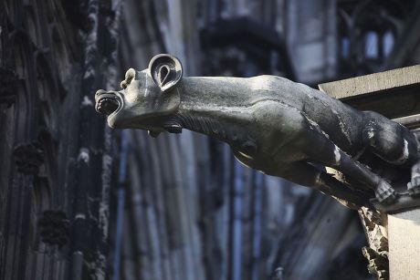Demonic Gargoyle On Cologne Cathedral Cologne Editorial Stock Photo ...
