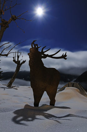 Roaring Stag Full Moon Standing Outside Editorial Stock Photo - Stock ...