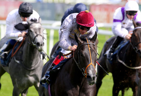 Horse Racing - 11 Sep 2015 Stock Pictures, Editorial Images and Stock ...