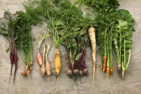 Selection Root Vegetables Editorial Stock Photo - Stock Image ...