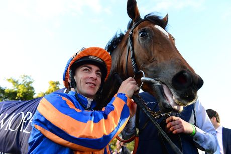 Leopardstown Coolmore Fastnet Rock Matron Stakes Editorial Stock Photo ...