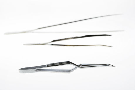 23 Tweezer Stock Pictures, Editorial Images and Stock Photos | Shutterstock