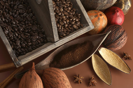 32 Mocca Stock Pictures, Editorial Images and Stock Photos | Shutterstock