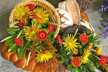 Magna Flora Blooms Inside Salisbury Cathedral Editorial Stock Photo ...