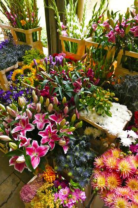 Magna Flora Blooms Inside Salisbury Cathedral Editorial Stock Photo ...