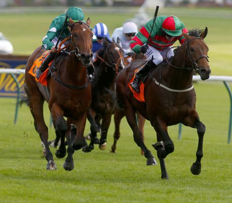 __COUNT__ Horse Racing - 19 Sep 2015 Stock Pictures, Editorial Images ...