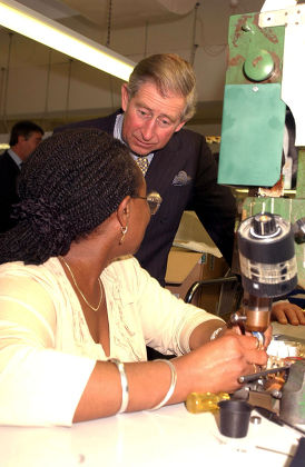 Prince Charles Talking Paulette Grant About Editorial Stock Photo ...