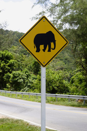 18 Elephant crossing sign Stock Pictures, Editorial Images and Stock ...