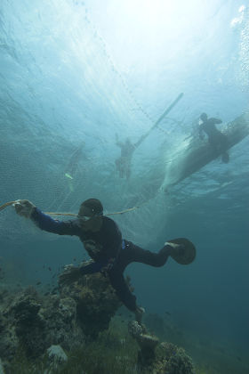 Fisher Catch Pacific Needlefish Net Philippines Editorial Stock Photo ...