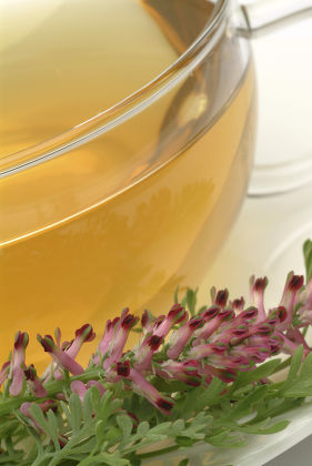 Herb Tea Made Fumaria Officinalis Editorial Stock Photo - Stock Image ...