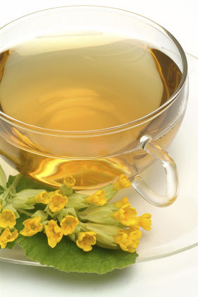 Herb Tea Made Cowslip Primula Officinalis Editorial Stock Photo - Stock ...