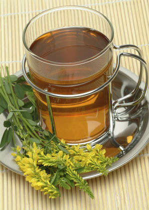 Tea Made Melilotus Officinalis Melilot Editorial Stock Photo - Stock ...