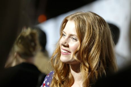 Amy Adams Editorial Stock Photo - Stock Image | Shutterstock