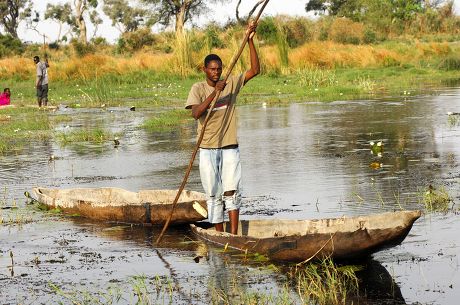 Local Bayei People Tradiional Mokoro Dugout Editorial Stock Photo ...