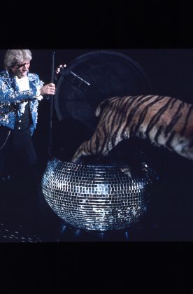 Siegfried Fischbacher Tiger On Stage Editorial Stock Photo - Stock ...