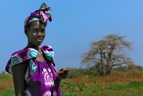 250 Frontlets Stock Pictures, Editorial Images and Stock Photos ...