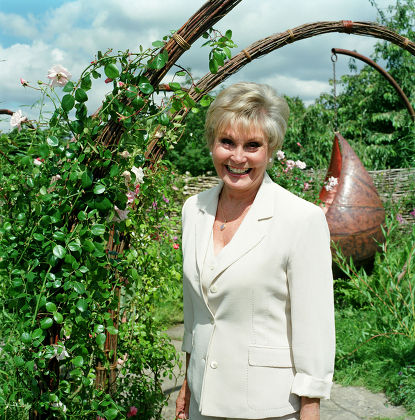 Angela Rippon Editorial Stock Photo - Stock Image | Shutterstock