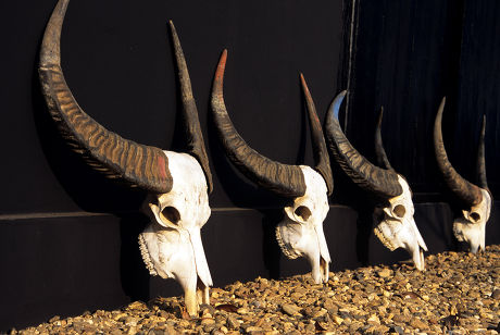'HOUSE OF IMAGINATION' COMPOUND, CREATED BY THAI ARTIST TAWAN DACHANEE ...