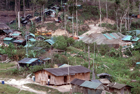 Nicaraguan Contra Rebels Secret Base Inside Editorial Stock Photo ...