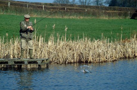 Fly Fishing Landing Rainbow Trout On Editorial Stock Photo - Stock ...